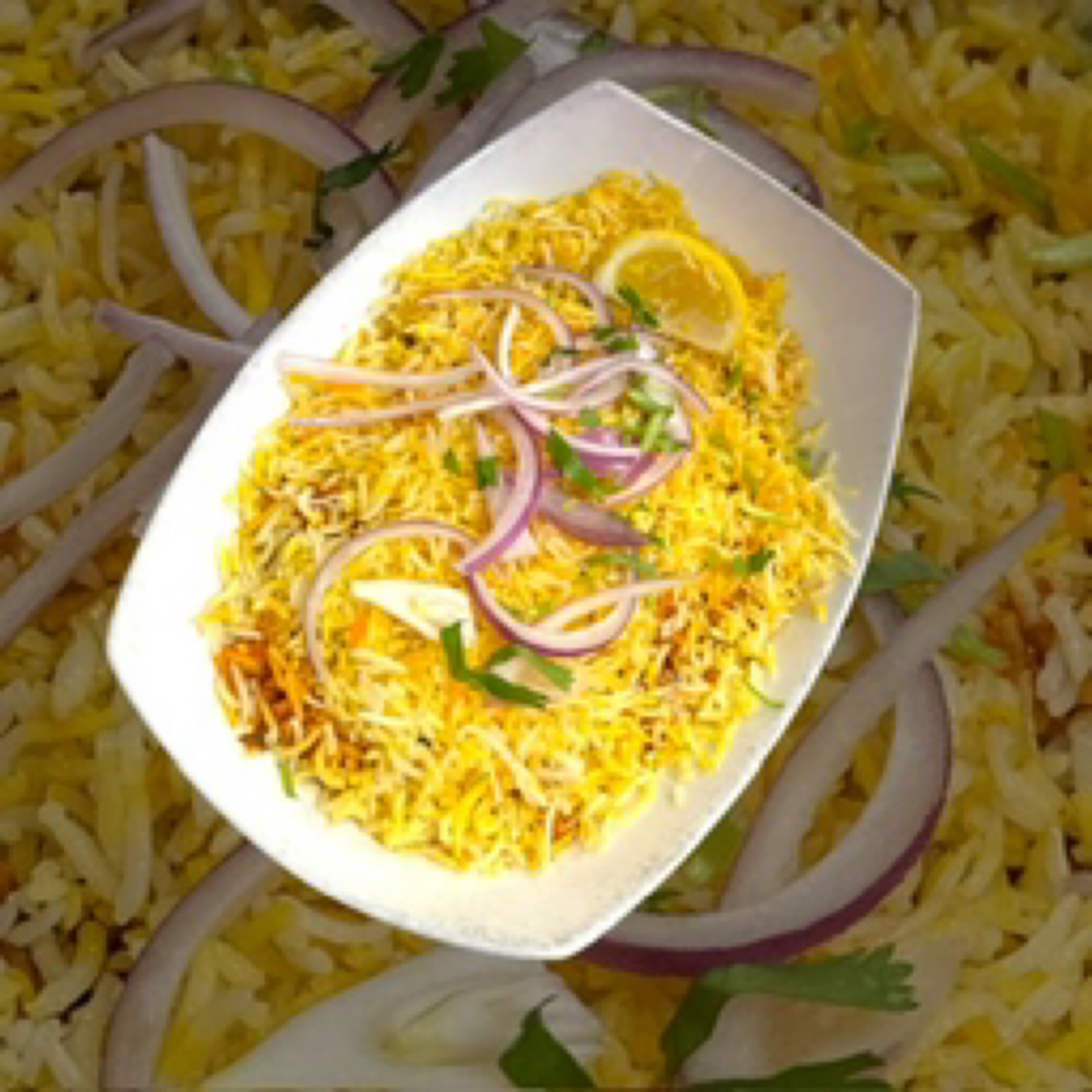 Best Goat Biryani in Carbondale | BOMBAY OLIVE